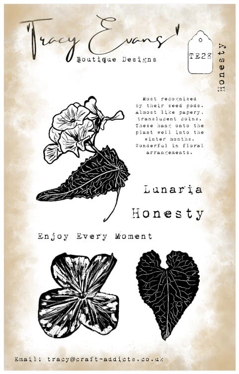 Tracy Evans - TE028 - Honesty (A6 Stamp) - HOBBYLAGERET